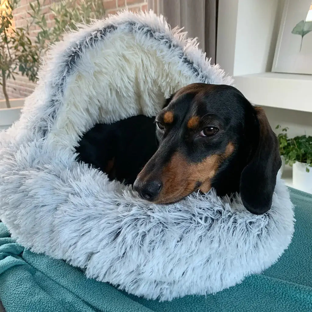 Calming Plush Dog Bed – DoggoComfy