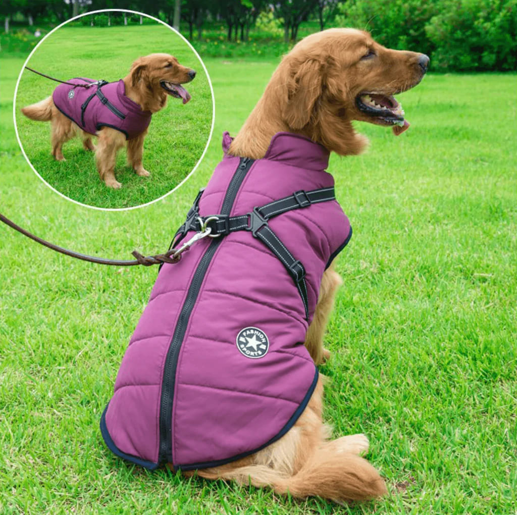 Waterproof Winter Jacket + Harness – DoggoComfy